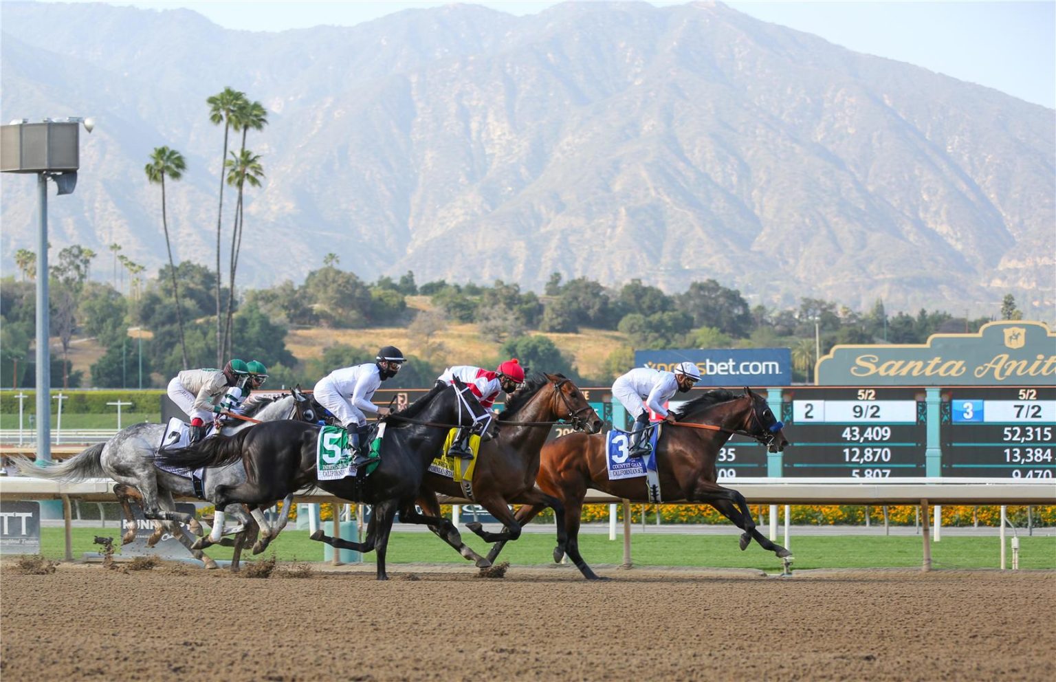 WinStar looks to the future with Commonwealth - WinStar Farm