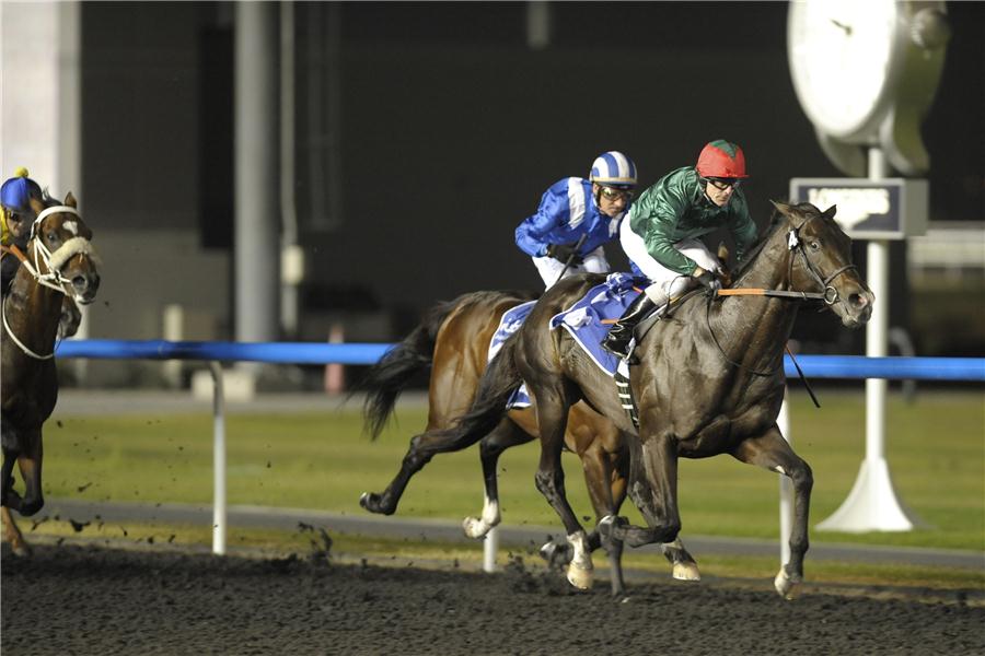 Mendip gets back-to-back wins in G2 Maktoum Challenge - WinStar Farm