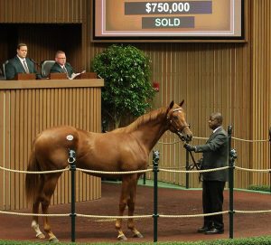 $750,000 filly new top at Keeneland for Distorted Humor - WinStar Farm