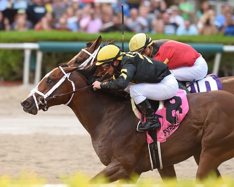 Distorted Humor colt gets second straight stakes win - WinStar Farm