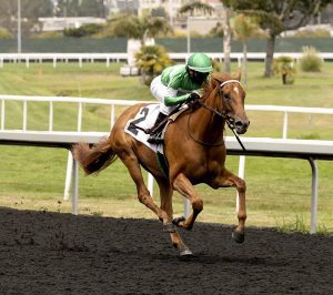 Xtrema first winner for WinStar’s Exaggerator - WinStar Farm