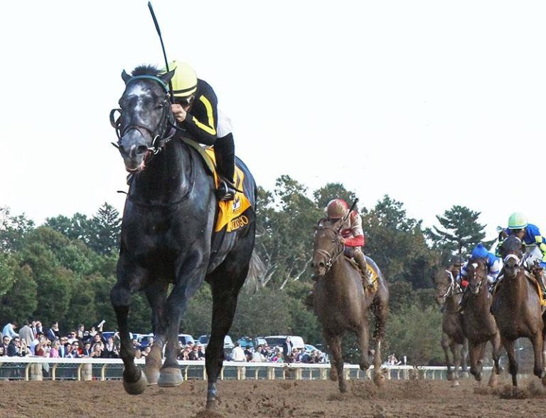Paynter's Knicks Go named Maryland-bred 2018 Horse of the Year ...