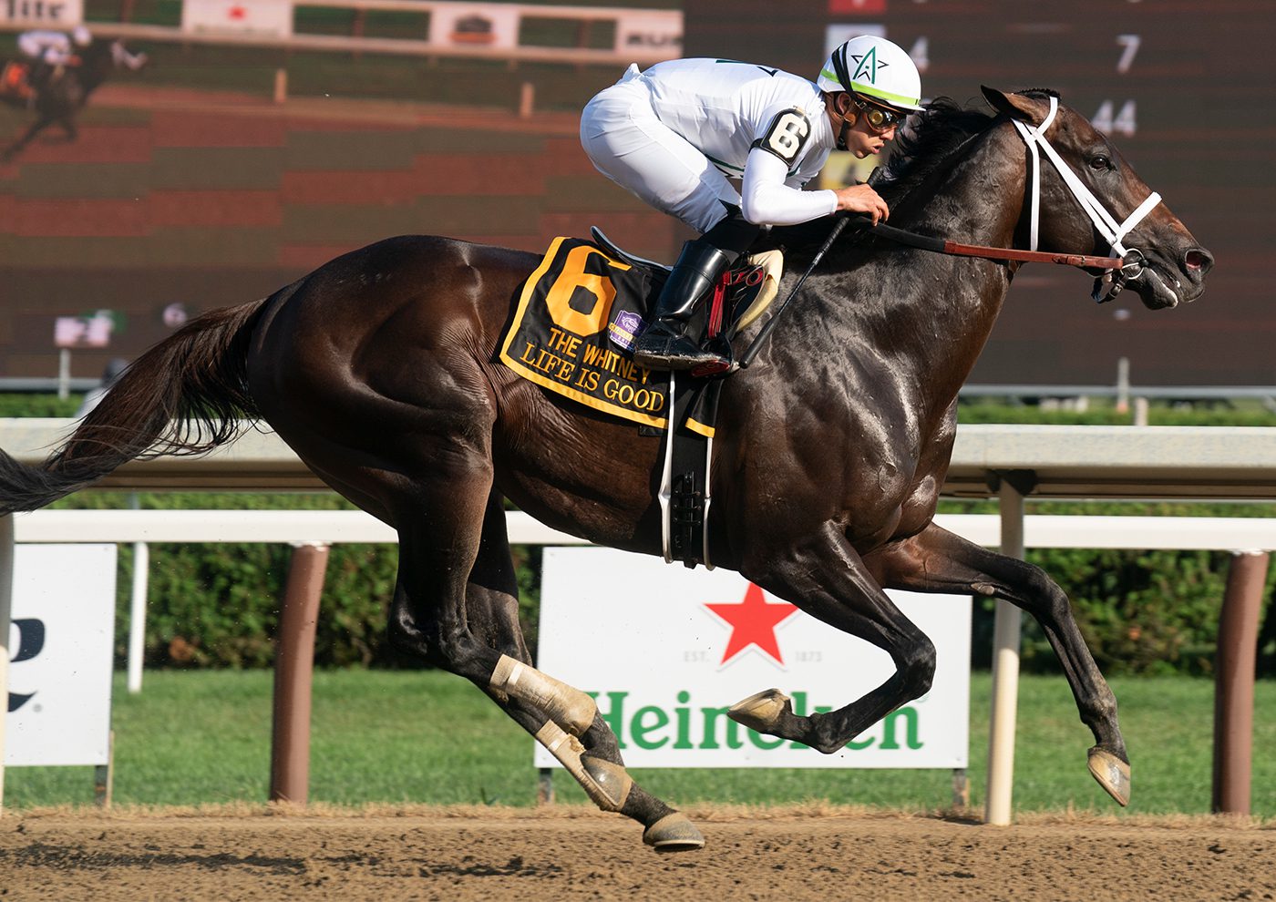 Kiosk Life is Good - WinStar FarmWinStar Farm