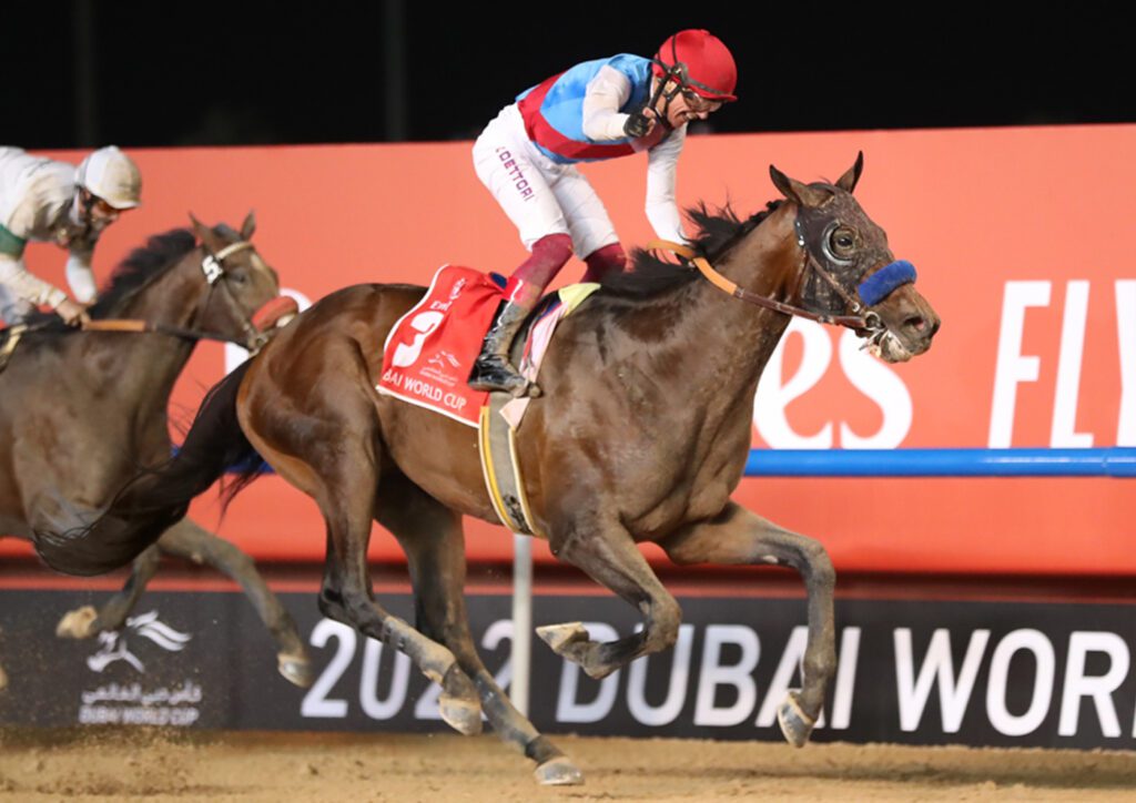 Multiple Grade 1 winner Country Grammer retired, to stand at WinStar ...