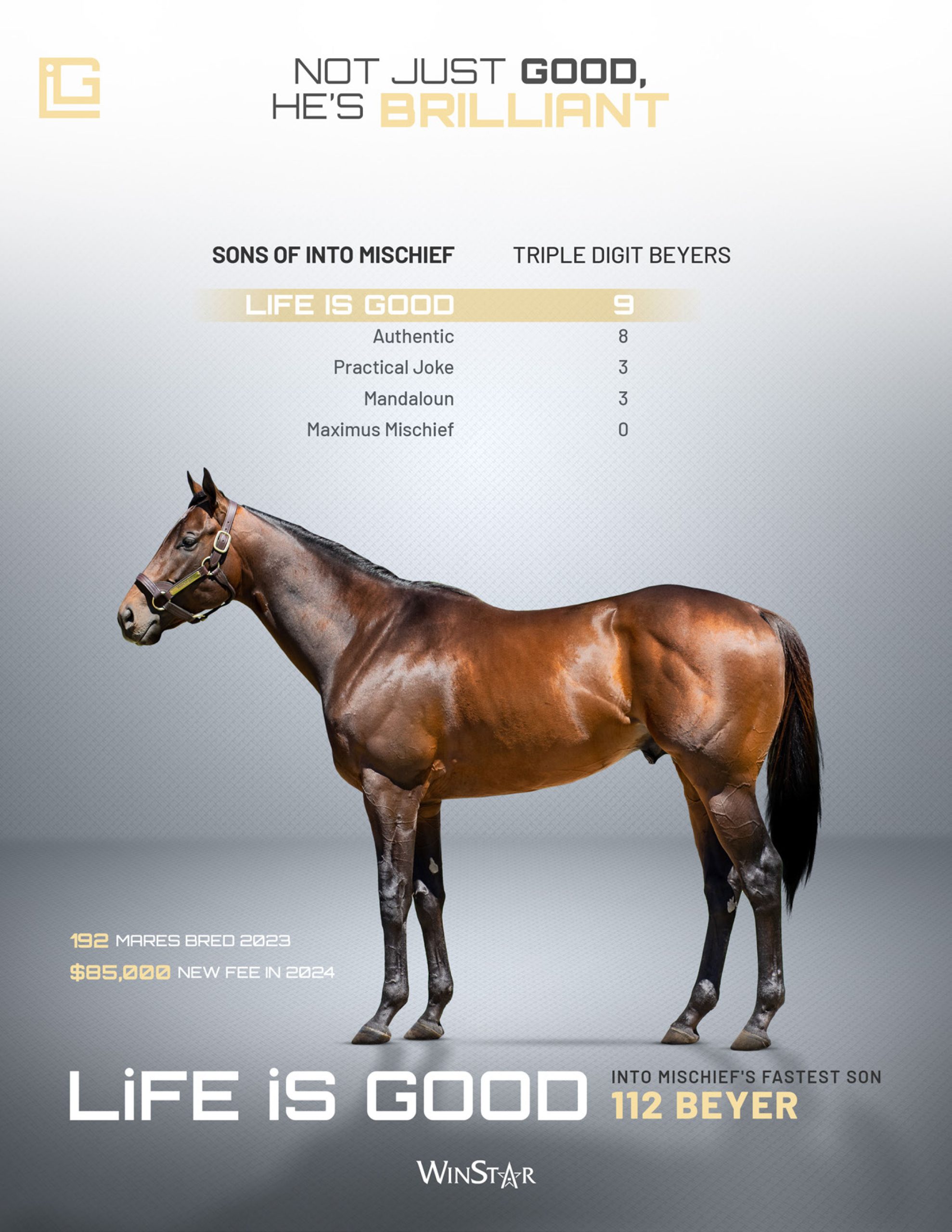 Life is Good - WinStar Farm