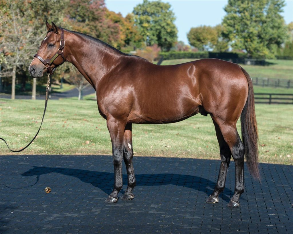 Audible filly kicks off 2024 with second straight stakes win - WinStar Farm