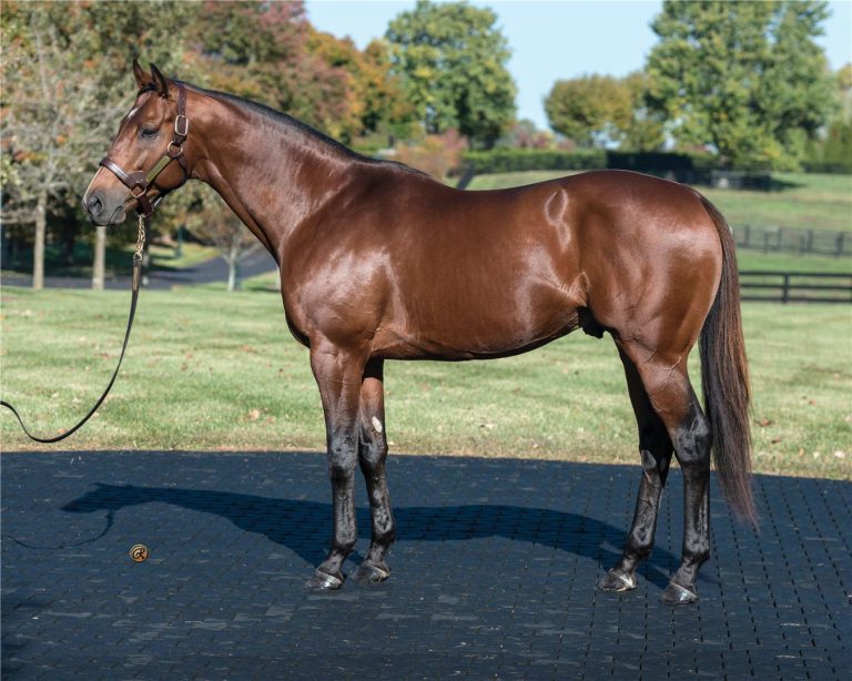 Audible filly Splendora at her best in Del Mar’s Tranquility Lake S ...