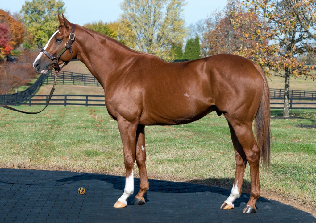 First foal a filly for WinStar Farm’s Two Phil’s - WinStar Farm