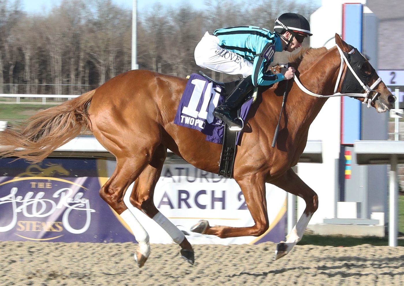 Kiosk Two Phil's - WinStar FarmWinStar Farm