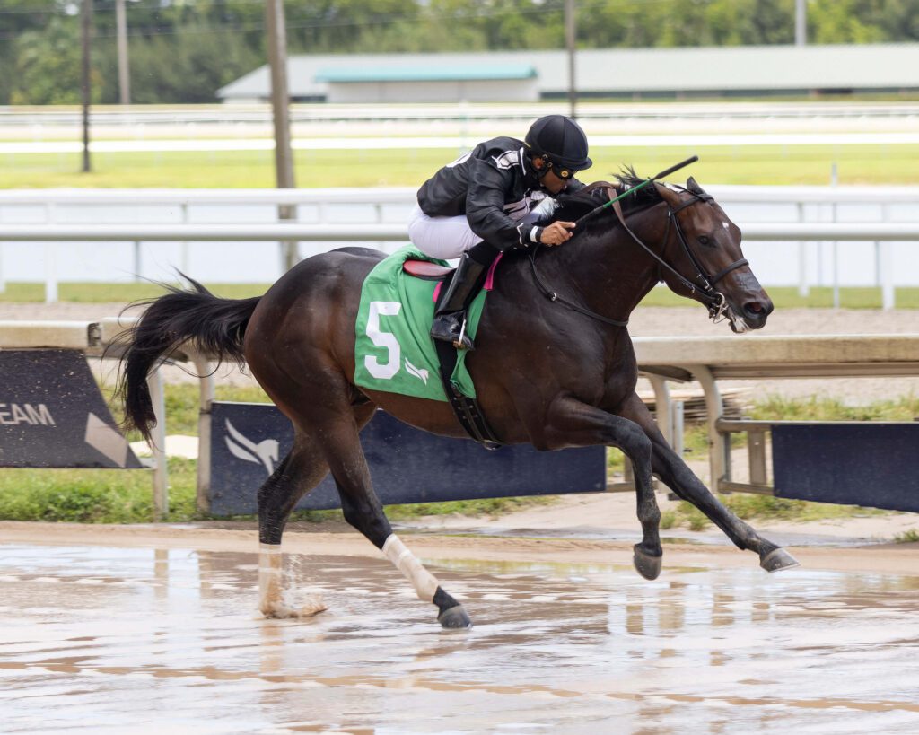 Global Legend first winner for Global Campaign - WinStar Farm