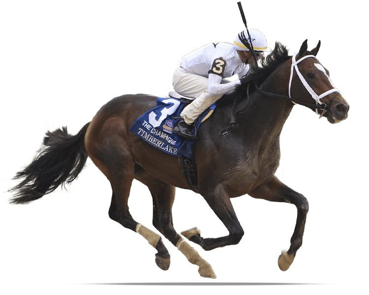 2025 Stallion Roster - WinStar Farm