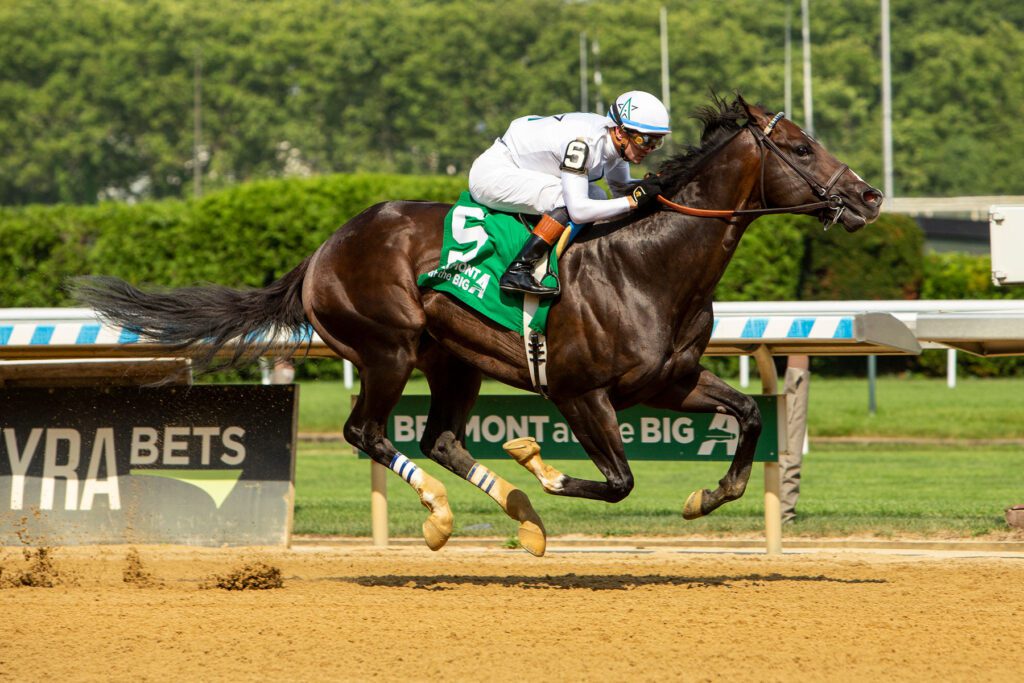 Grade 1 winner Mullikin to stand the 2026 breeding season at WinStar ...